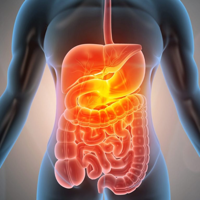 GI Tract System – MSC MedEd